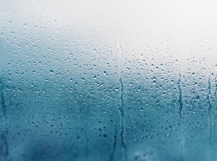 The Complete Series On Air Pollution + Solutions - Part III - Healthdish